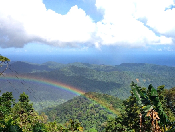 Caribbean Beach Resort | Trinidad and Tobago | Grafton Beach Resort